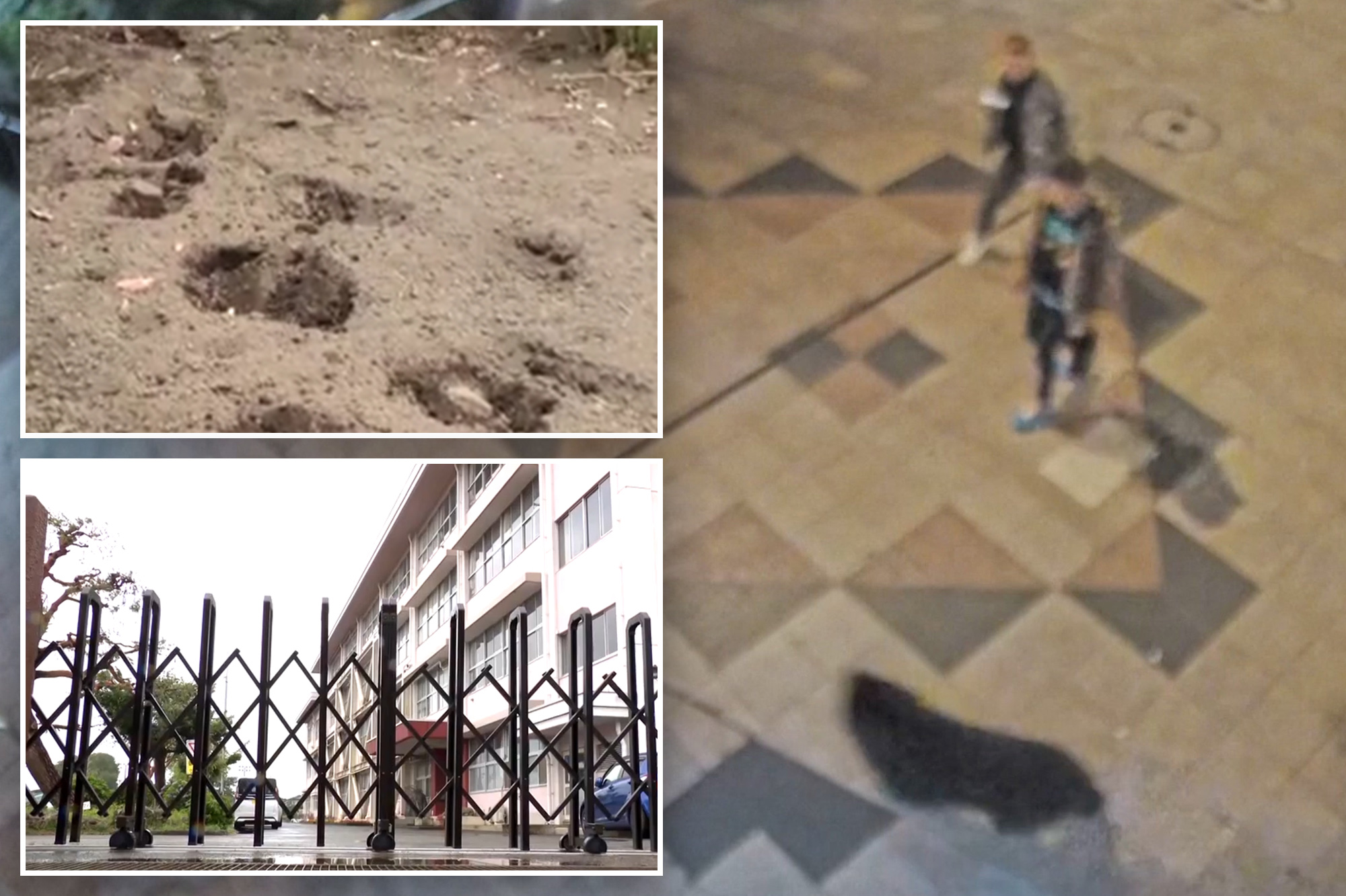 First-ever bear sighting in Japanese city triggers suspensions at 94 ...