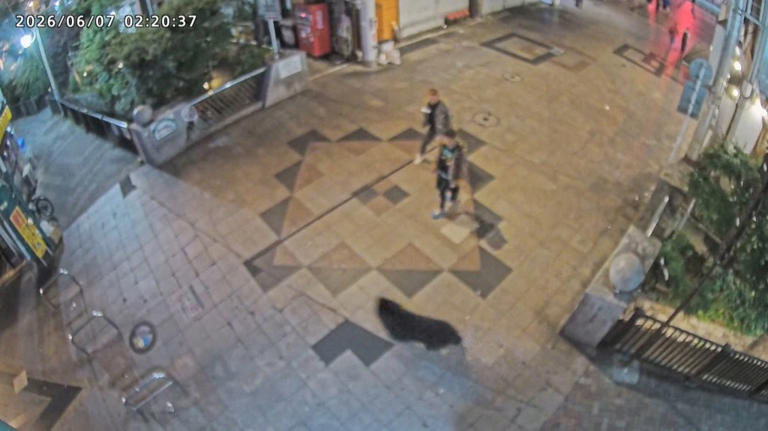 First-ever bear sighting in Japanese city triggers suspensions at 94 ...