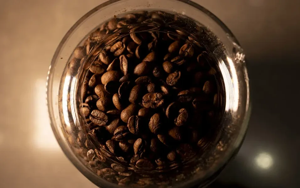 Home coffee mastery made simple and delicious