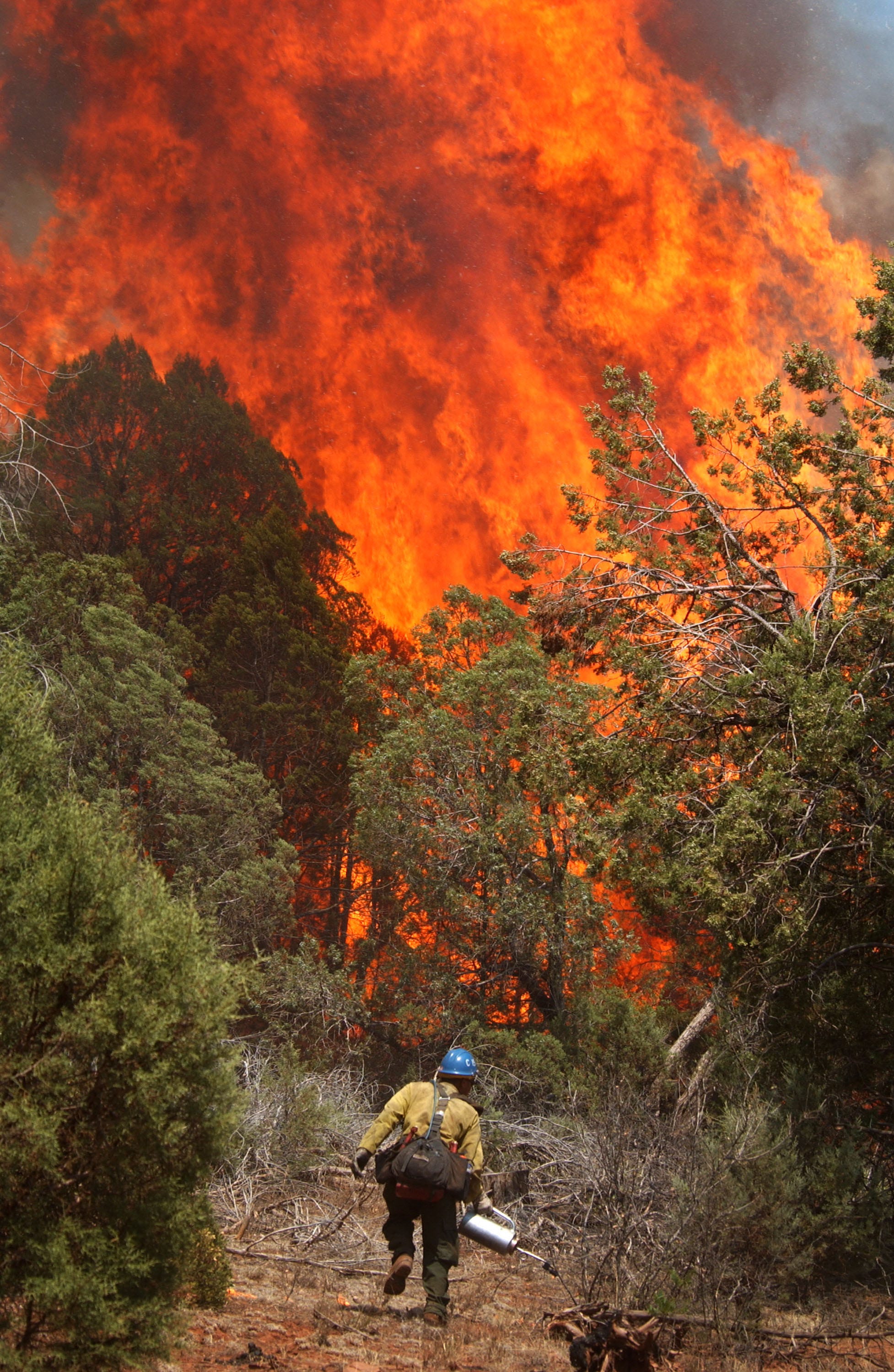 Arizona gets a lot of wildfires. But is it the worst state?