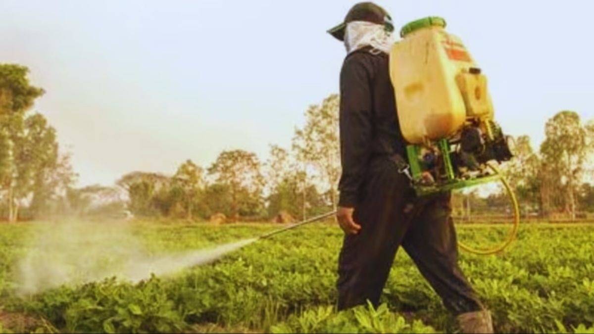 Poison for profit? Why toxic agrochemicals still flow freely across India