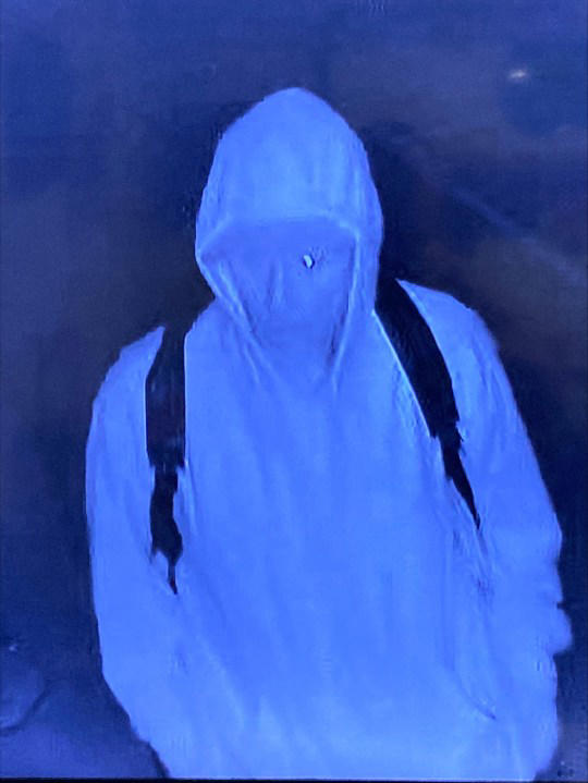 Vermont State Police seek burglary suspect