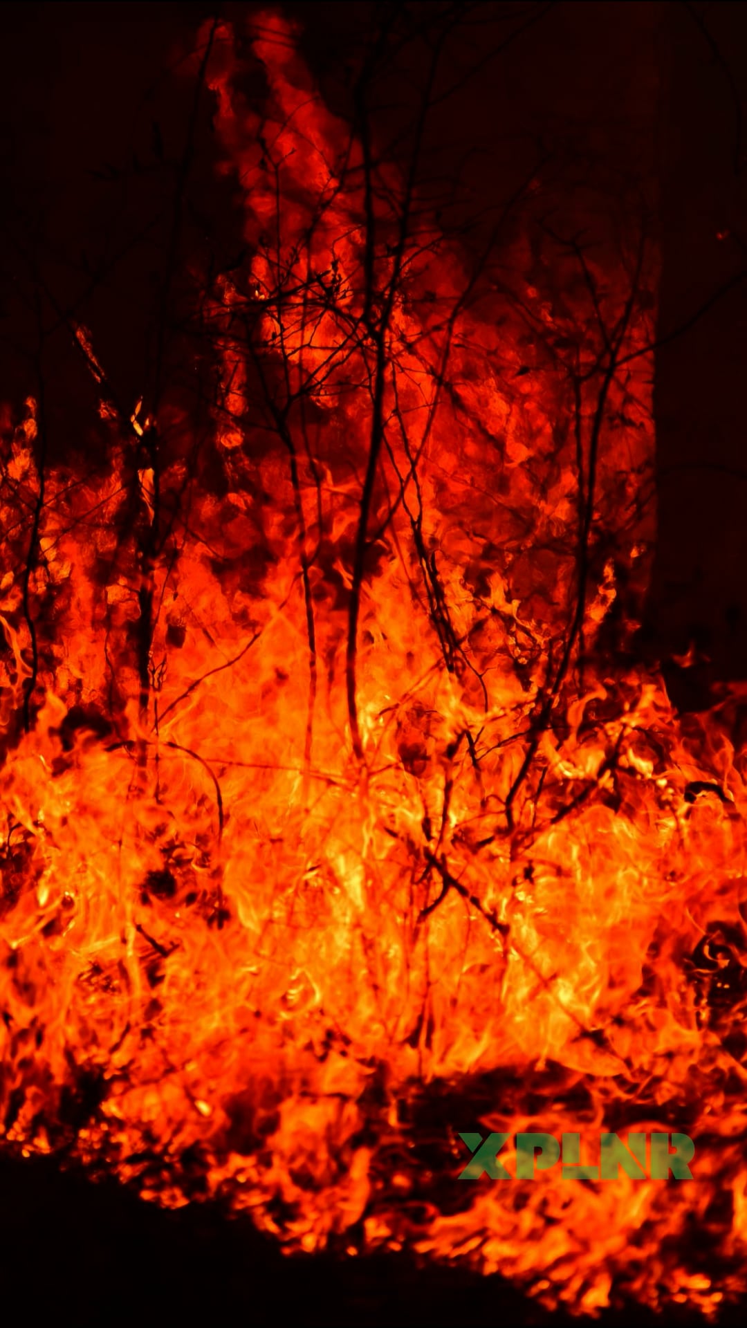 How does a wildfire start?