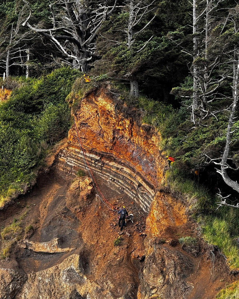 Firefighters rescue dog from cliff at Ecola State Park