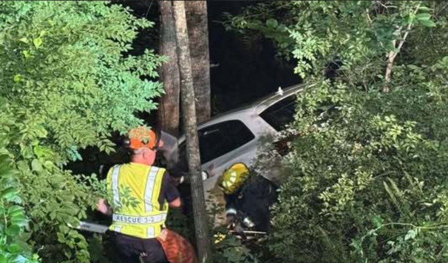 Driver rescued after car plunges down 40-foot embankment