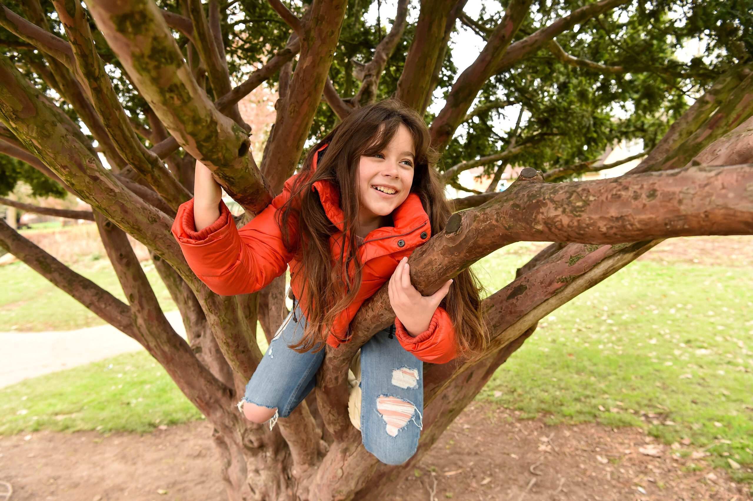 Just one day of outdoor play improves children’s mental health, says ...