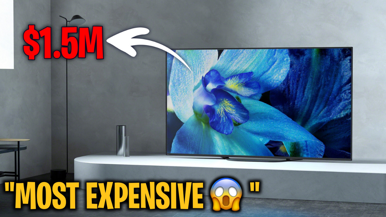 The world's priciest television model available today