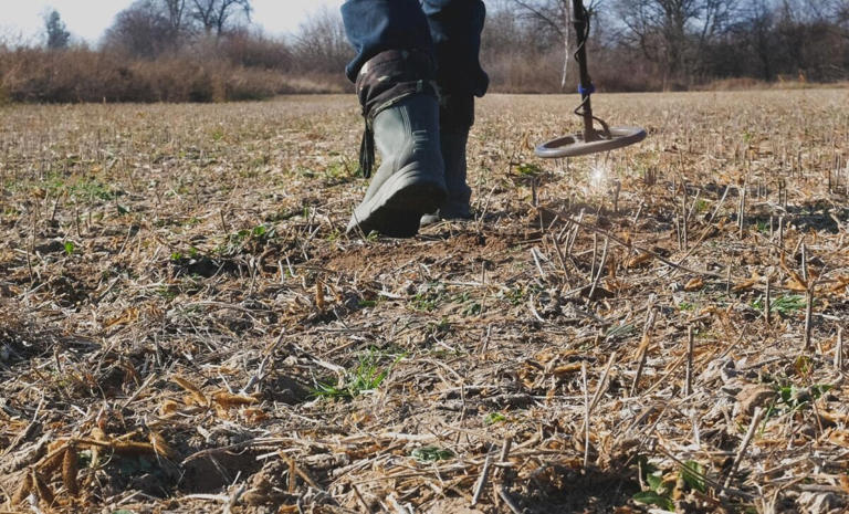 A metal detectorist expected another Roman coin, instead he unearthed a ...