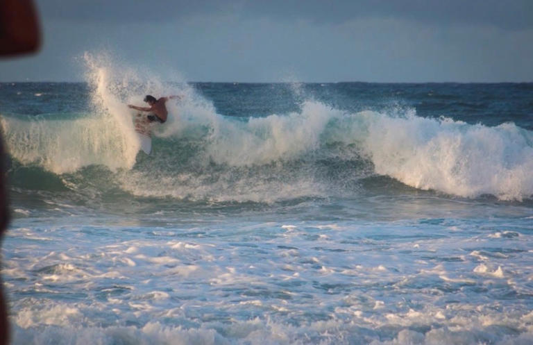 Surfer describes how 8-foot shark ripped open his legs: 'My calf is ...