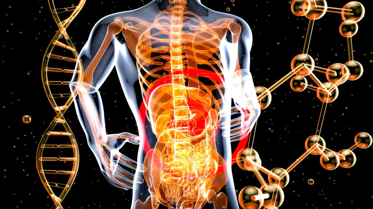 The acid in your stomach is strong enough to dissolve metal