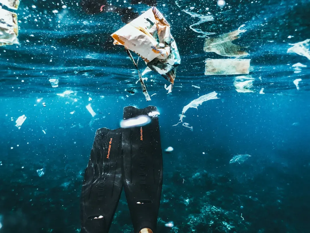 The ocean's dirty secret: What the Great Pacific Garbage Patch is and ...