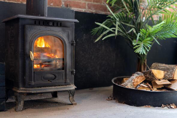 Call for ban on log burners and wood burner fireplaces in homes