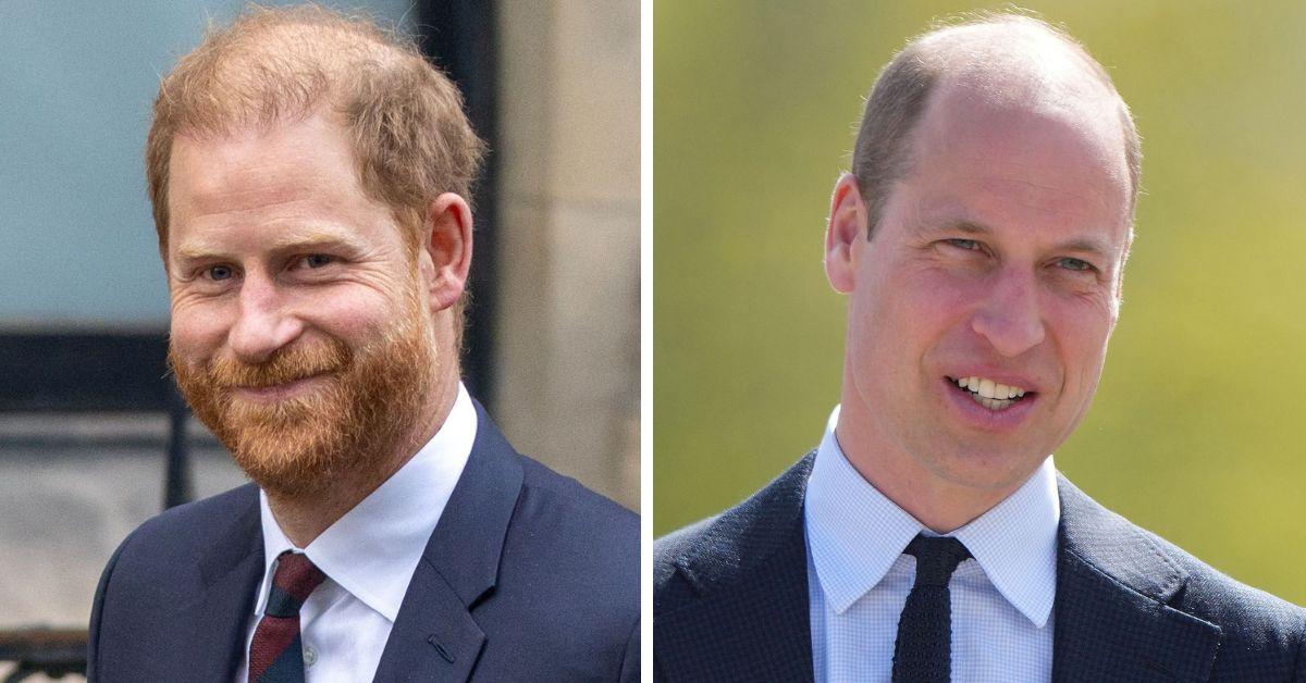Prince Harry 'suspects' Prince William 'has been on a mission to turn ...
