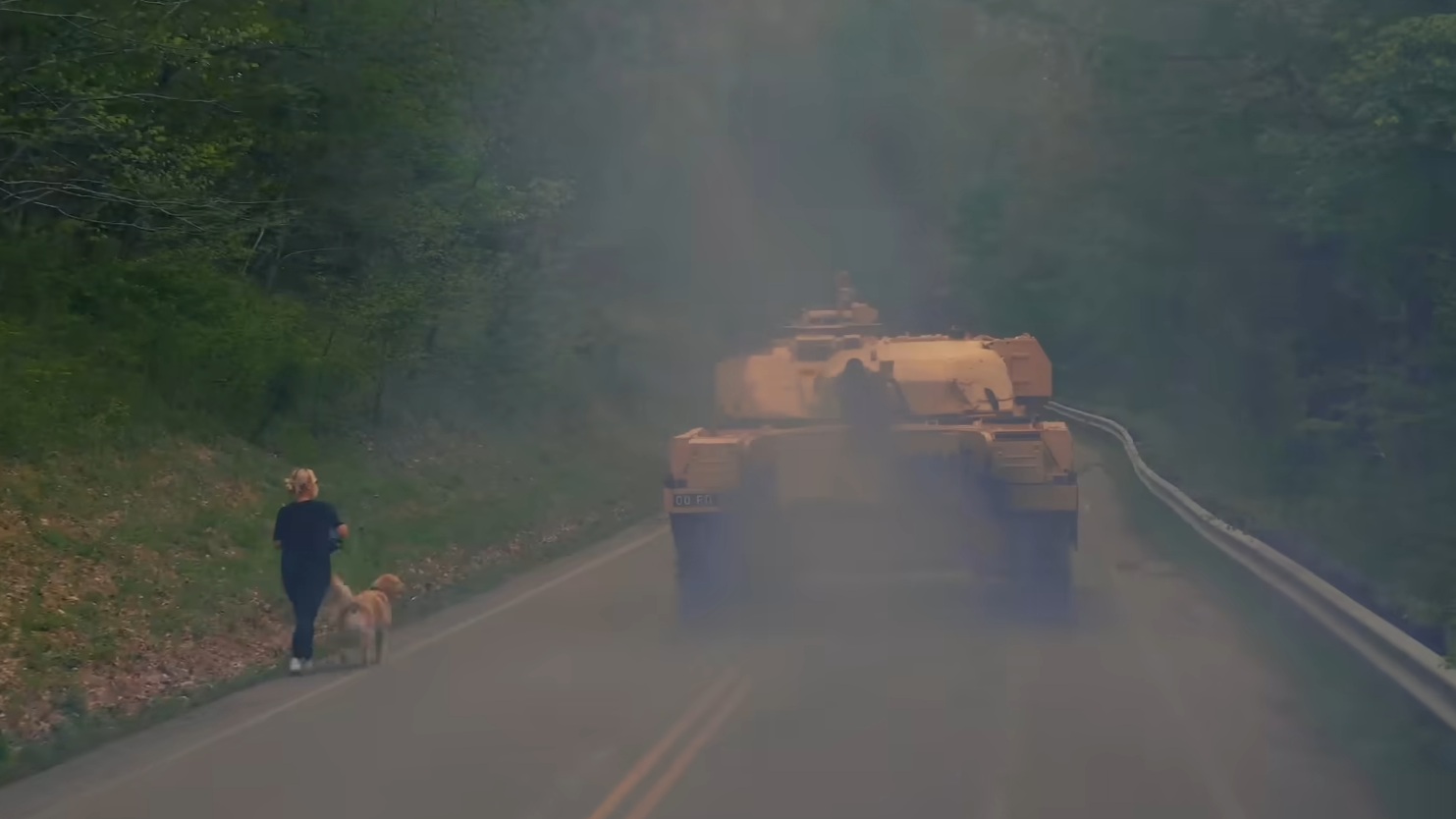 She was just walking her dog - then a tank ruined everything