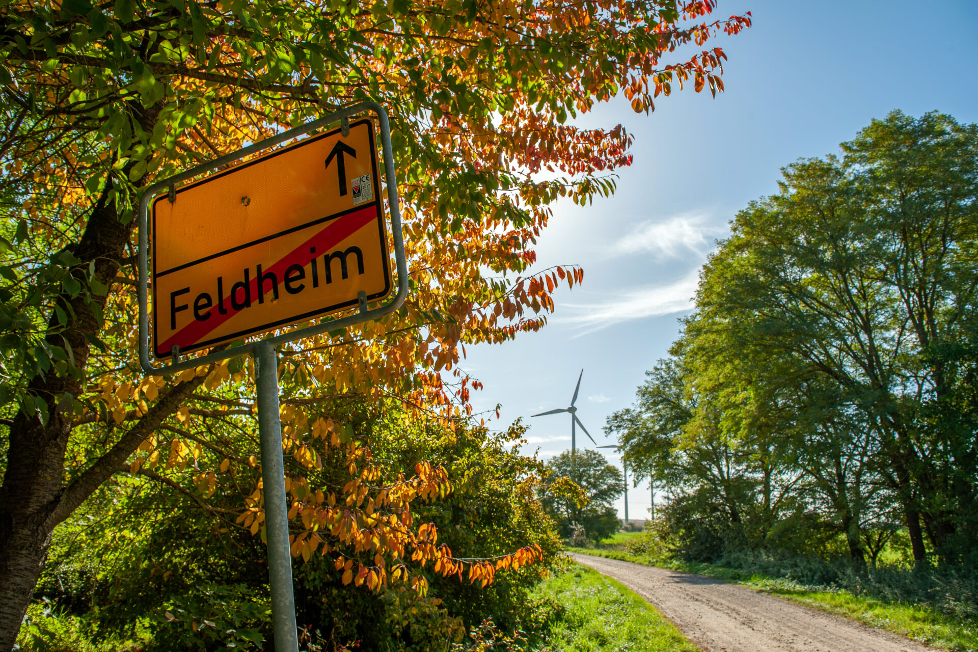 Feldheim, the German town that proved that energy independence is possible