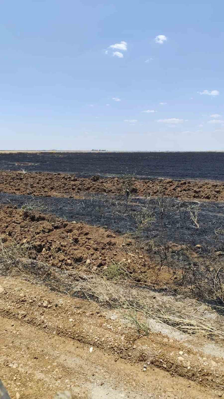 Mardin’de 150 dönüm buğday ekili alan küle döndü