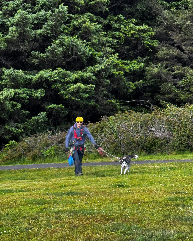 Firefighters rescue dog from cliff at Ecola State Park