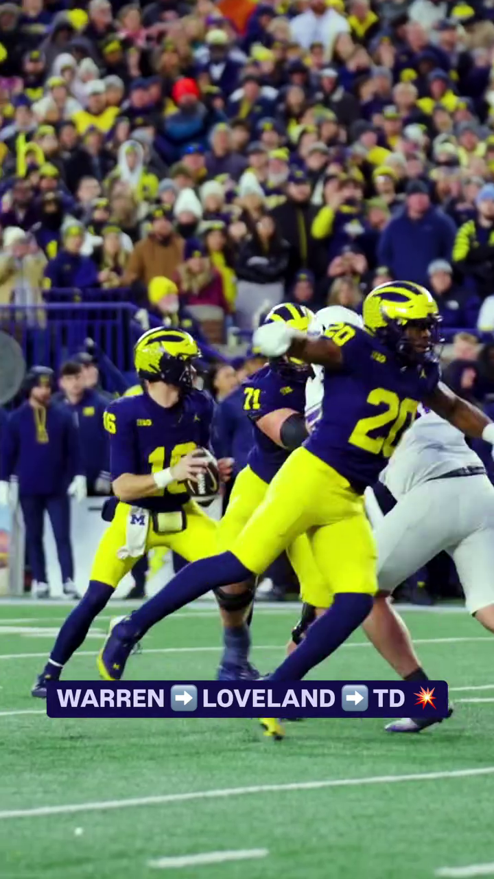 Davis Warren to Colston Loveland: Perfect dime for a Michigan TD