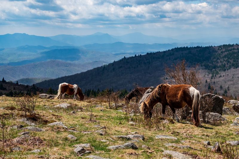 10 Virginia state parks with views that will leave you speechless
