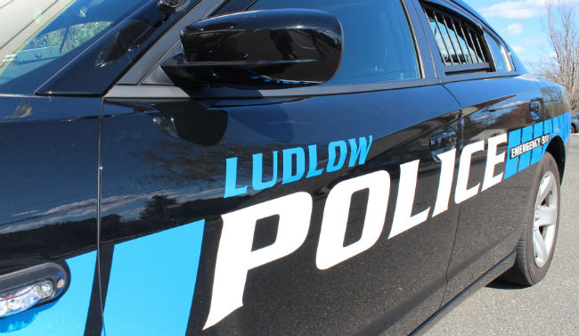 Naked man arrested for Ludlow attack, choking dog
