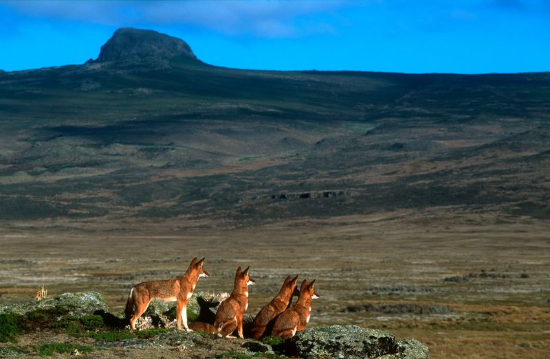 14 beautiful highland regions across Africa worth discovering