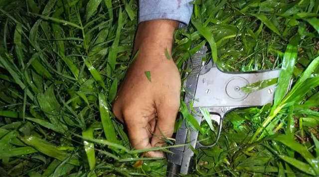 Controversy surrounds police encounters in Assam amid calls for justice