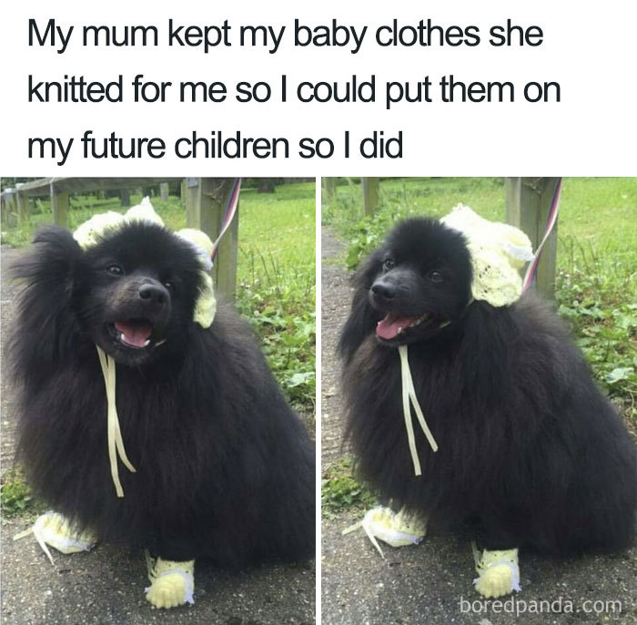 23 memes from people who chose pets over parenthood