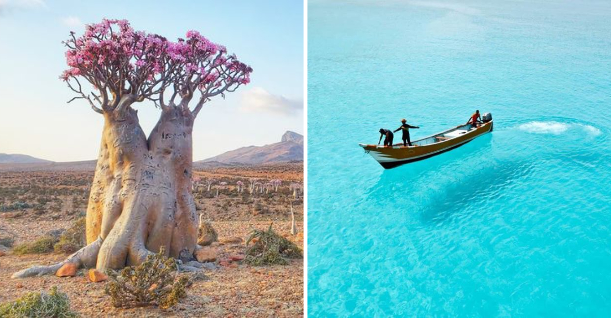 Hidden off Yemen’s coast is an island unlike anywhere else on Earth