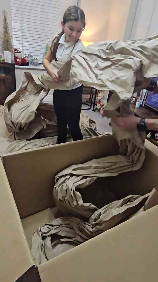 Dog bed delivered in a huge box