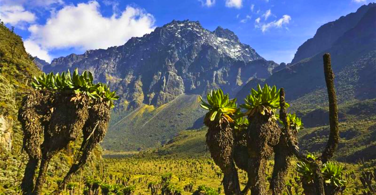 14 beautiful highland regions across Africa worth discovering