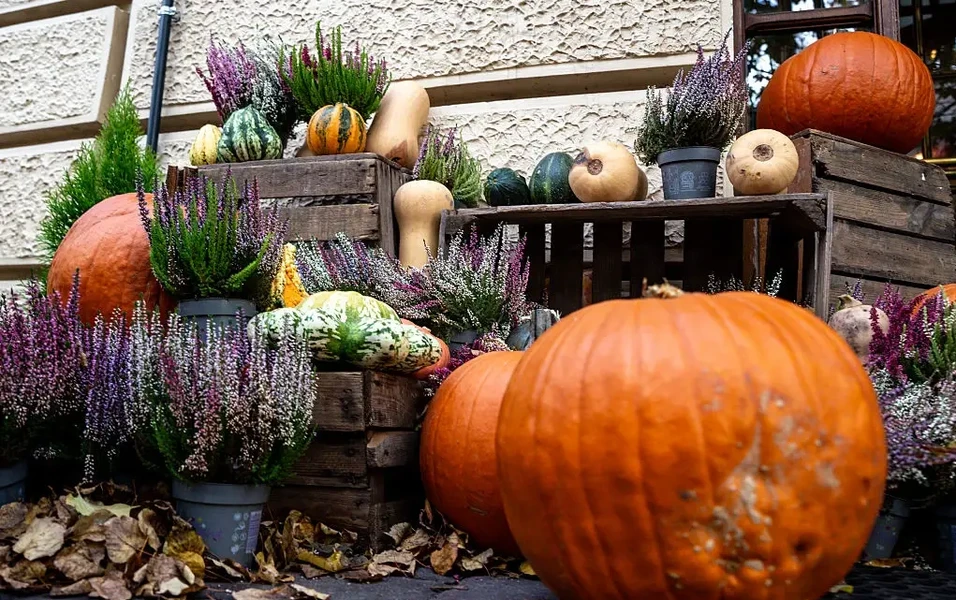 Cozy outdoor fall decor ideas for your porch
