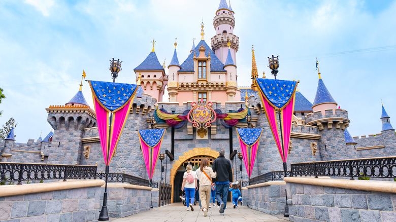 10 things you didn't realize could get you banned from Disney