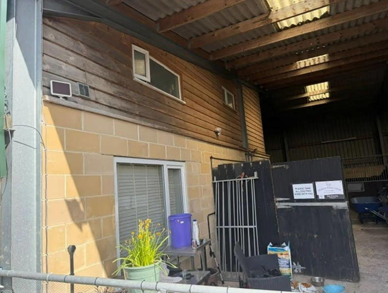 Sheep farmer facing jail over 'secret' that meant she could live with ...