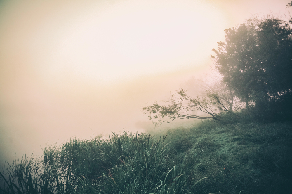 15 times nature just said "nope"