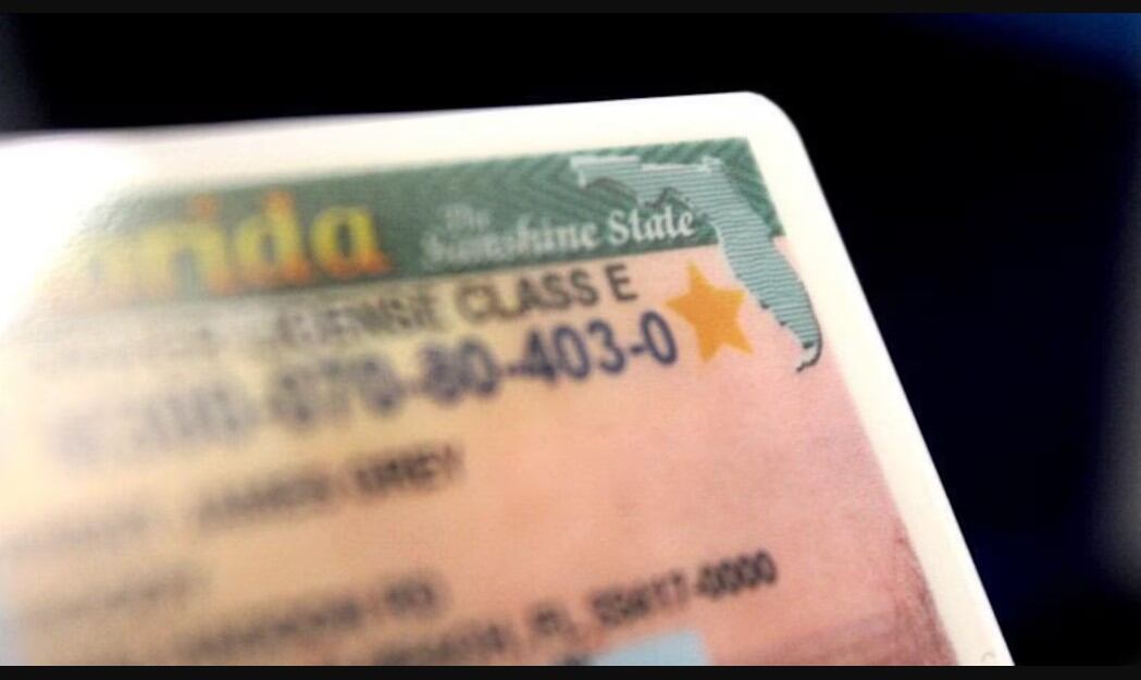 New Florida law requires driver’s licenses to display citizenship status
