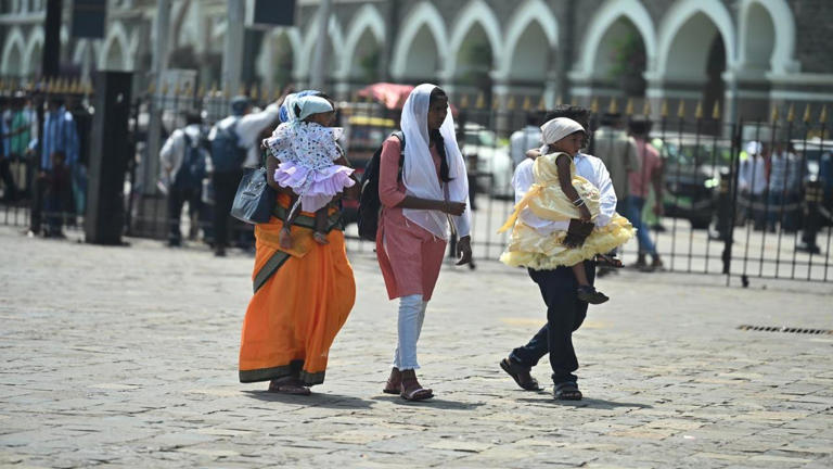 Several Vidarbha cities cross 42 degrees Celsius, Nagpur hottest in ...