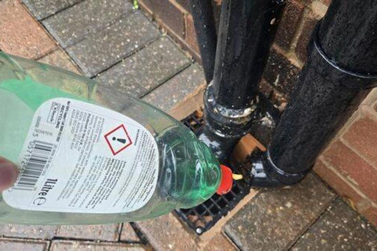 Households urged to pour washing up liquid down the drain as rain to ...
