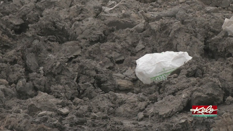 The problems posed by plastic bags