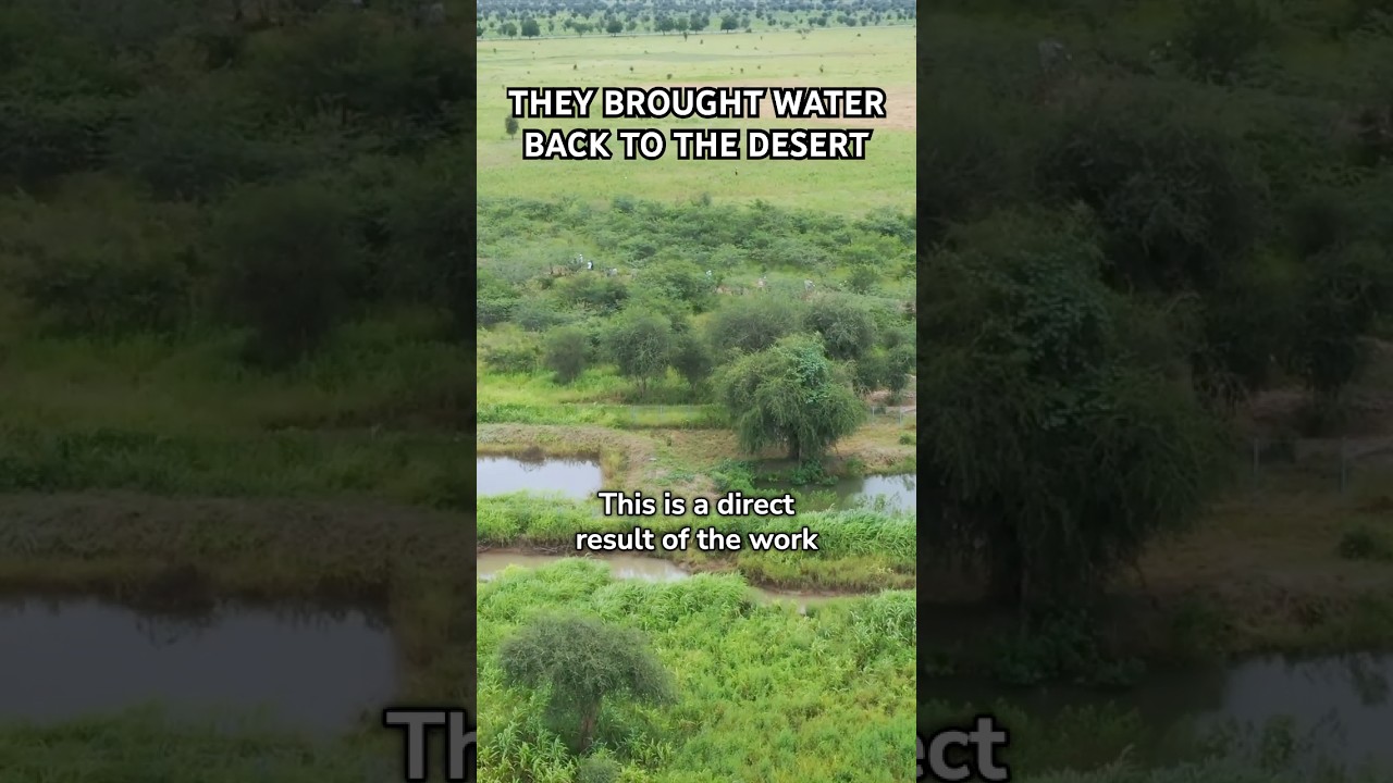 They brought water back to the desert 🌊