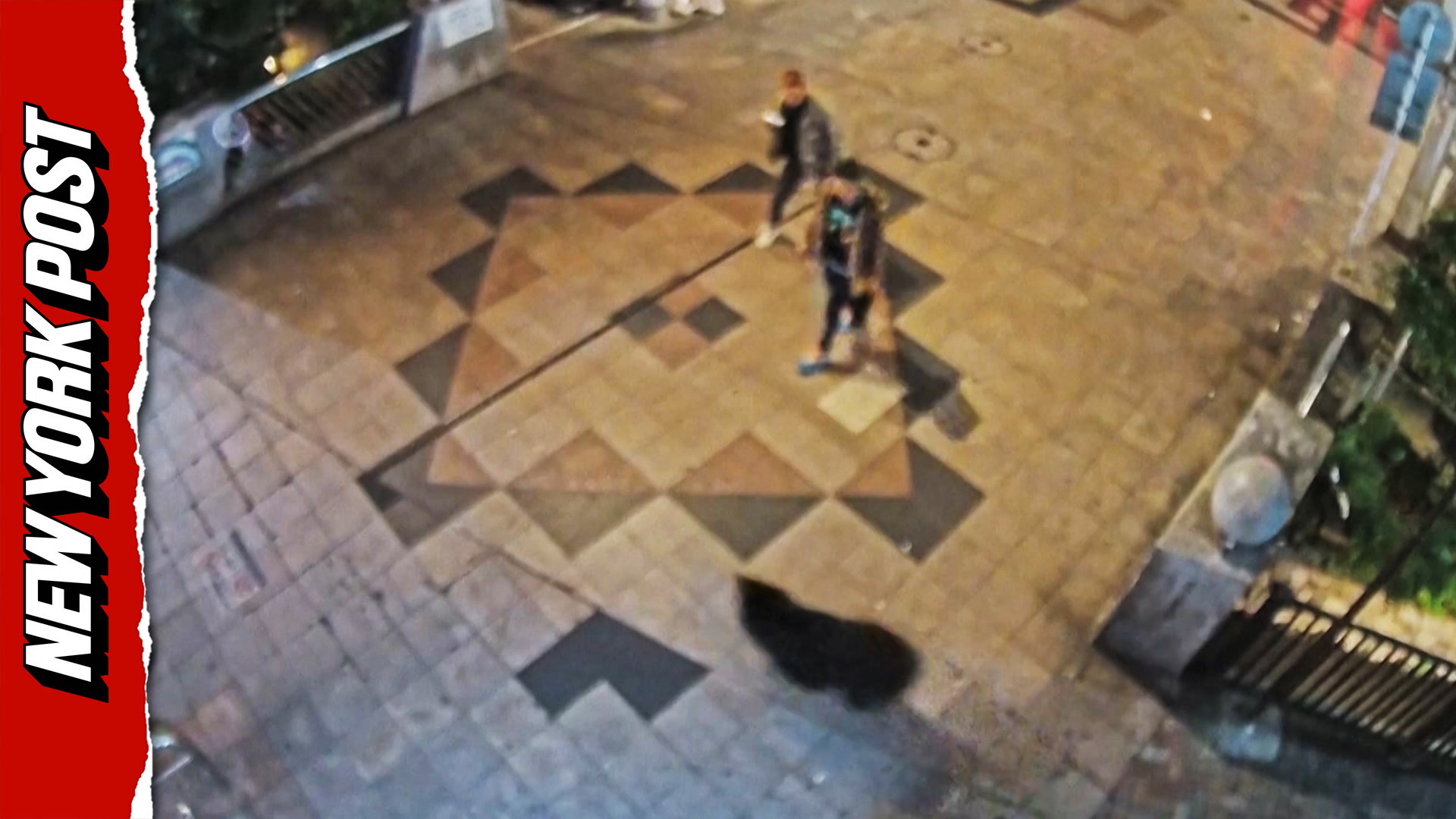 Japanese city shuts down schools after first-ever bear sighting