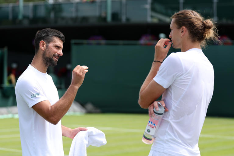Novak Djokovic delivers message to Alexander Zverev after French Open title