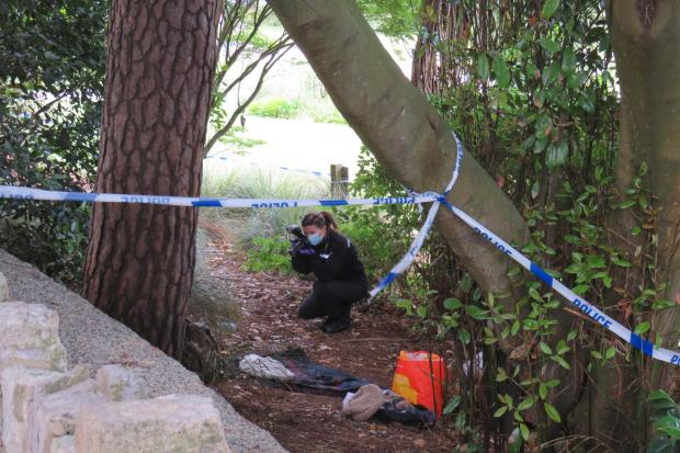 Man held on suspicion of Lower Gardens rape released on police bail