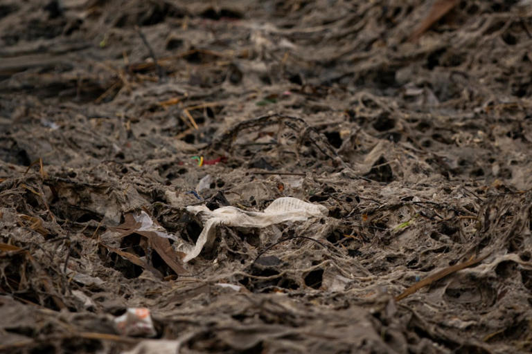US wastewater will be screened for disease outbreaks during World Cup