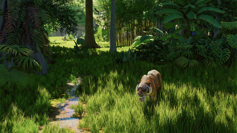 Planet Zoo 2 developer on approachability, animal improvements, and all ...
