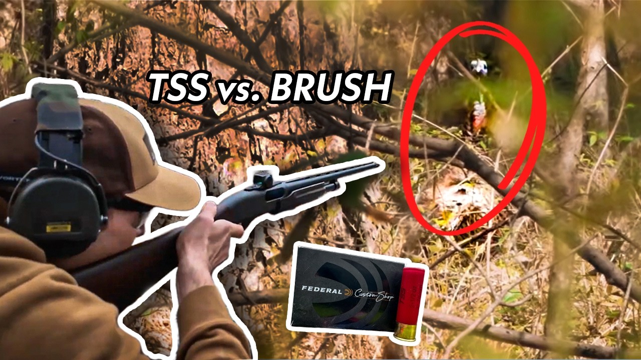 Why every turkey hunter needs to see these pattern results