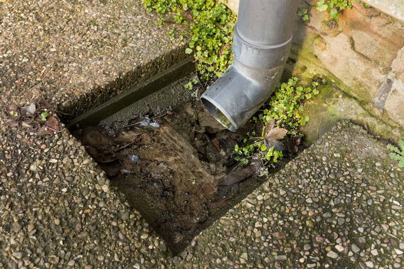 Households urged to pour washing up liquid down the drain as rain to ...