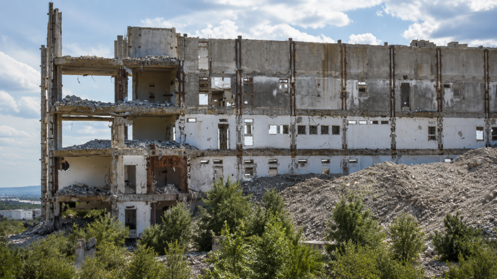 Large animals reportedly thriving in the Chernobyl Exclusion Zone