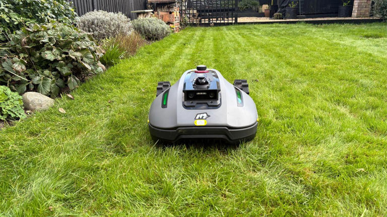 3 things I wish I knew before buying a robot lawn mower