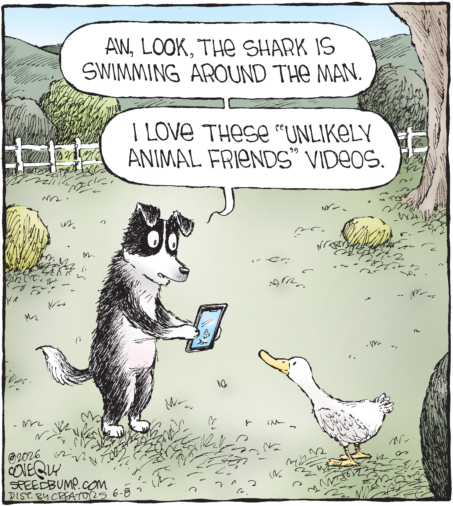 The latest comic strips from the Creators Syndicate (6/8)