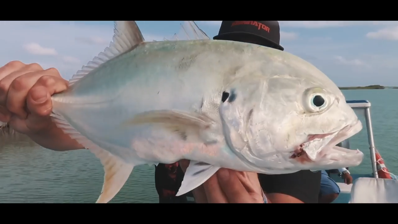 Gefährliches Urzeitmonster im knietiefen Wasser – Angler erlebt den ...